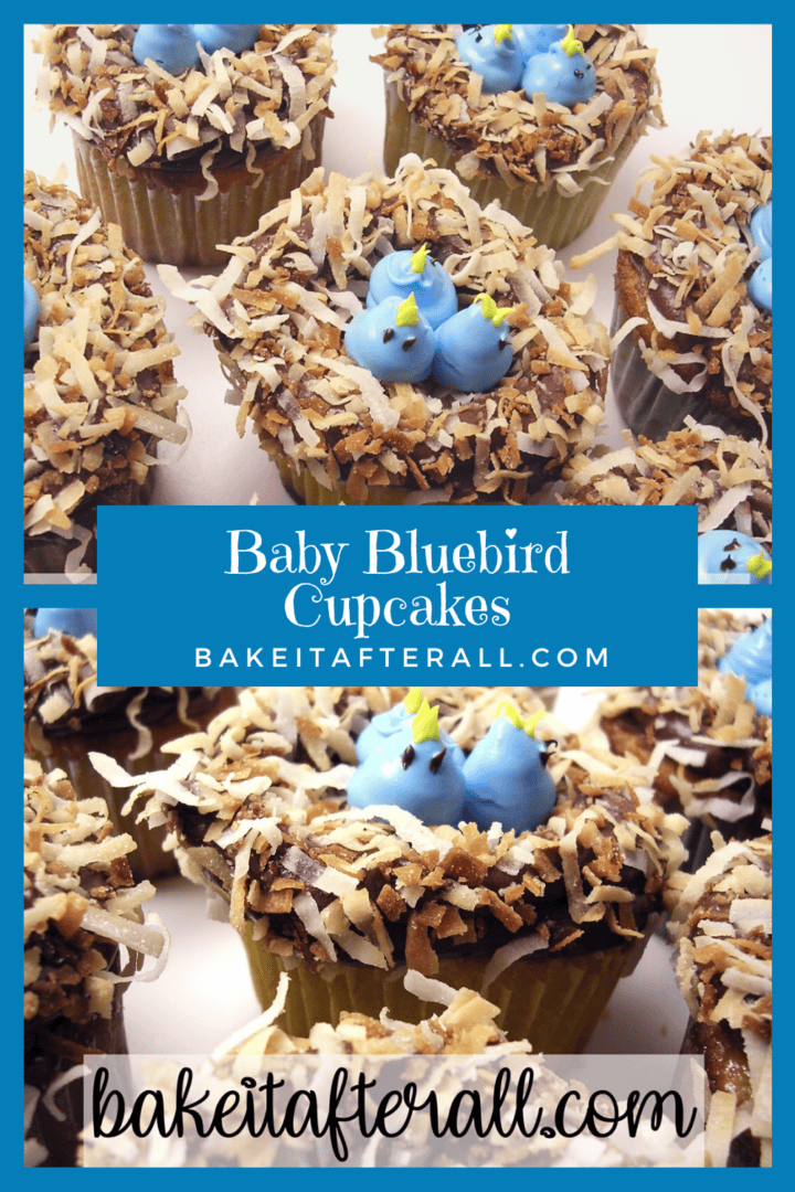 Baby Bluebird Cupcakes - You're Gonna Bake It After All