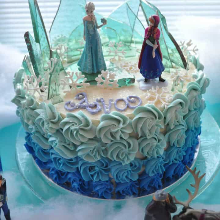 Frozen birthday party store