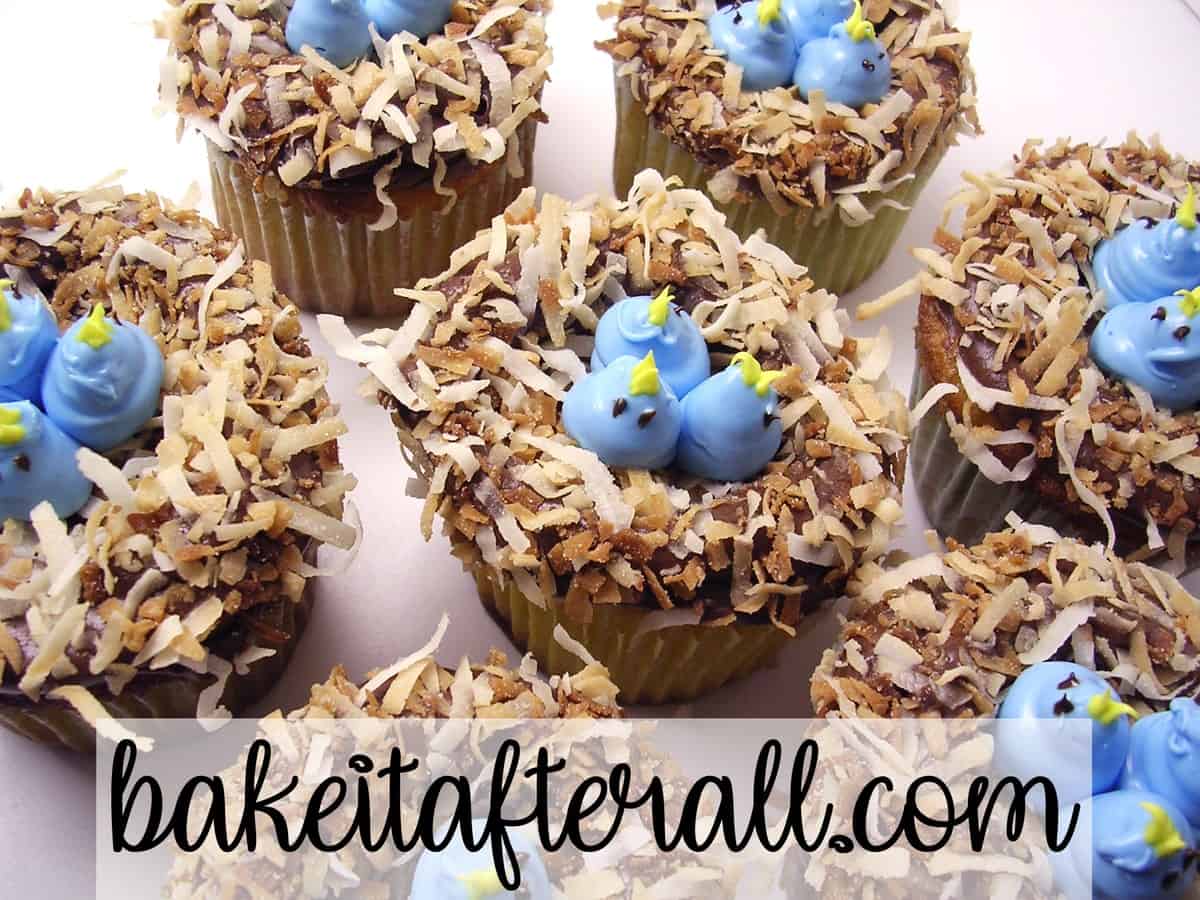 Baby Bluebird Cupcakes - You're Gonna Bake It After All