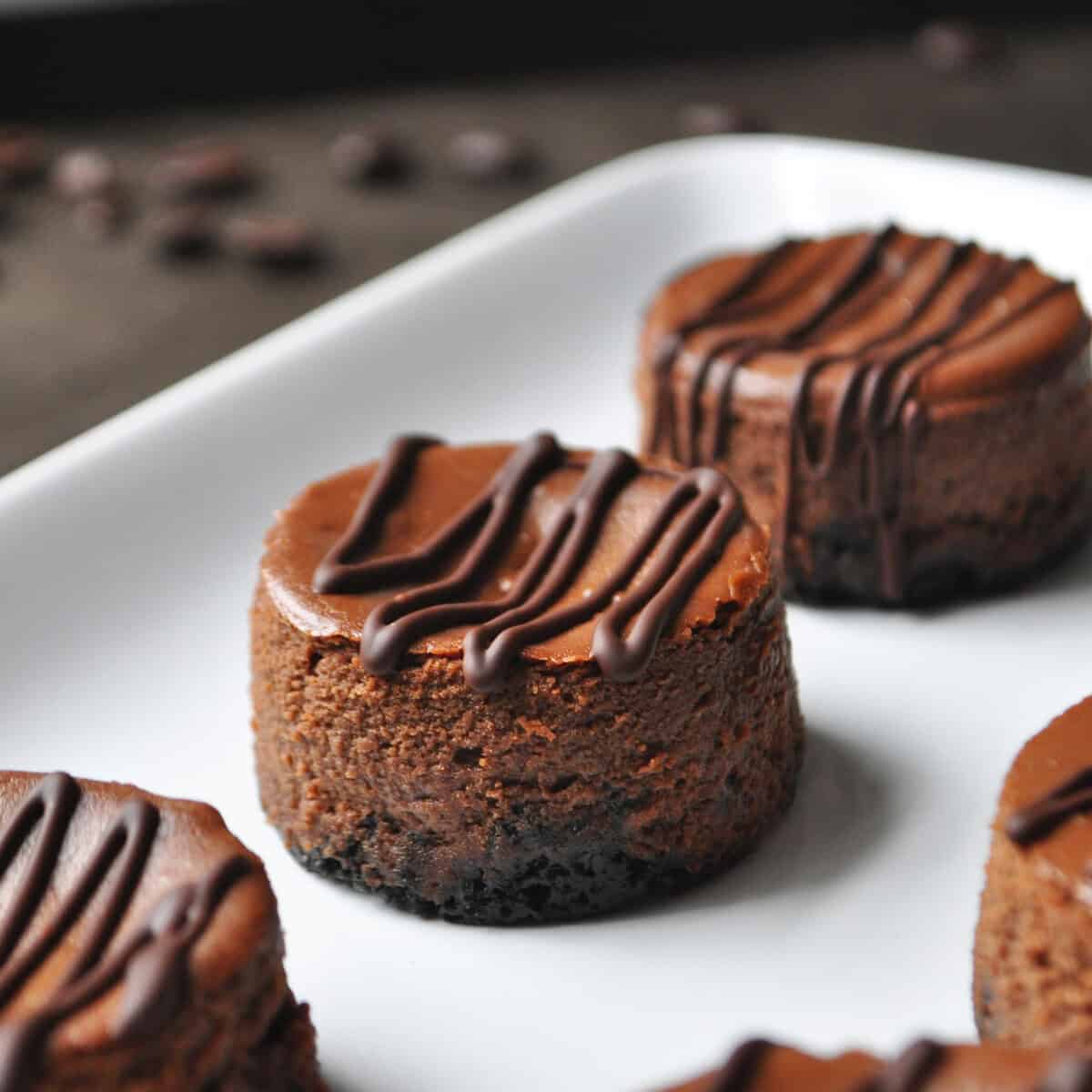 Mini Mocha Cheesecakes - You're Gonna Bake It After All