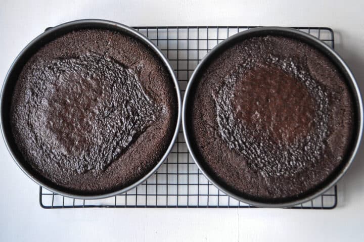 Two Layer Chocolate Cake - You're Gonna Bake It After All