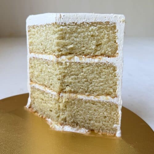 Polar Bear Cake - You're Gonna Bake It After All