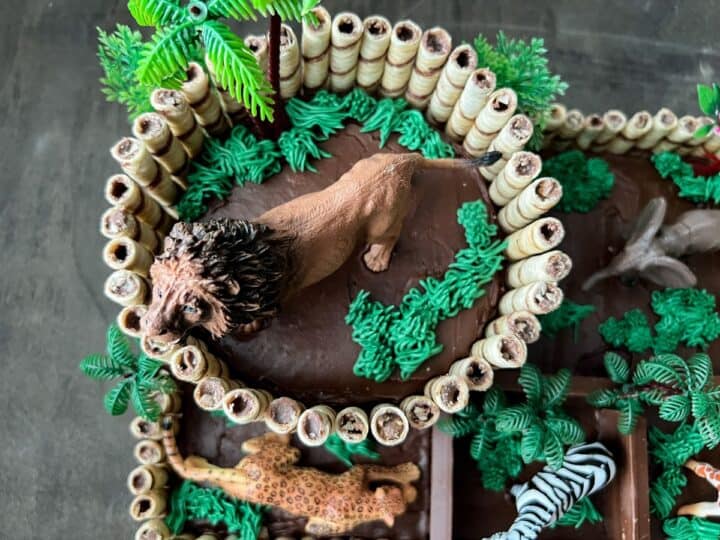 Zoo Animal Birthday Cake - You're Gonna Bake It After All
